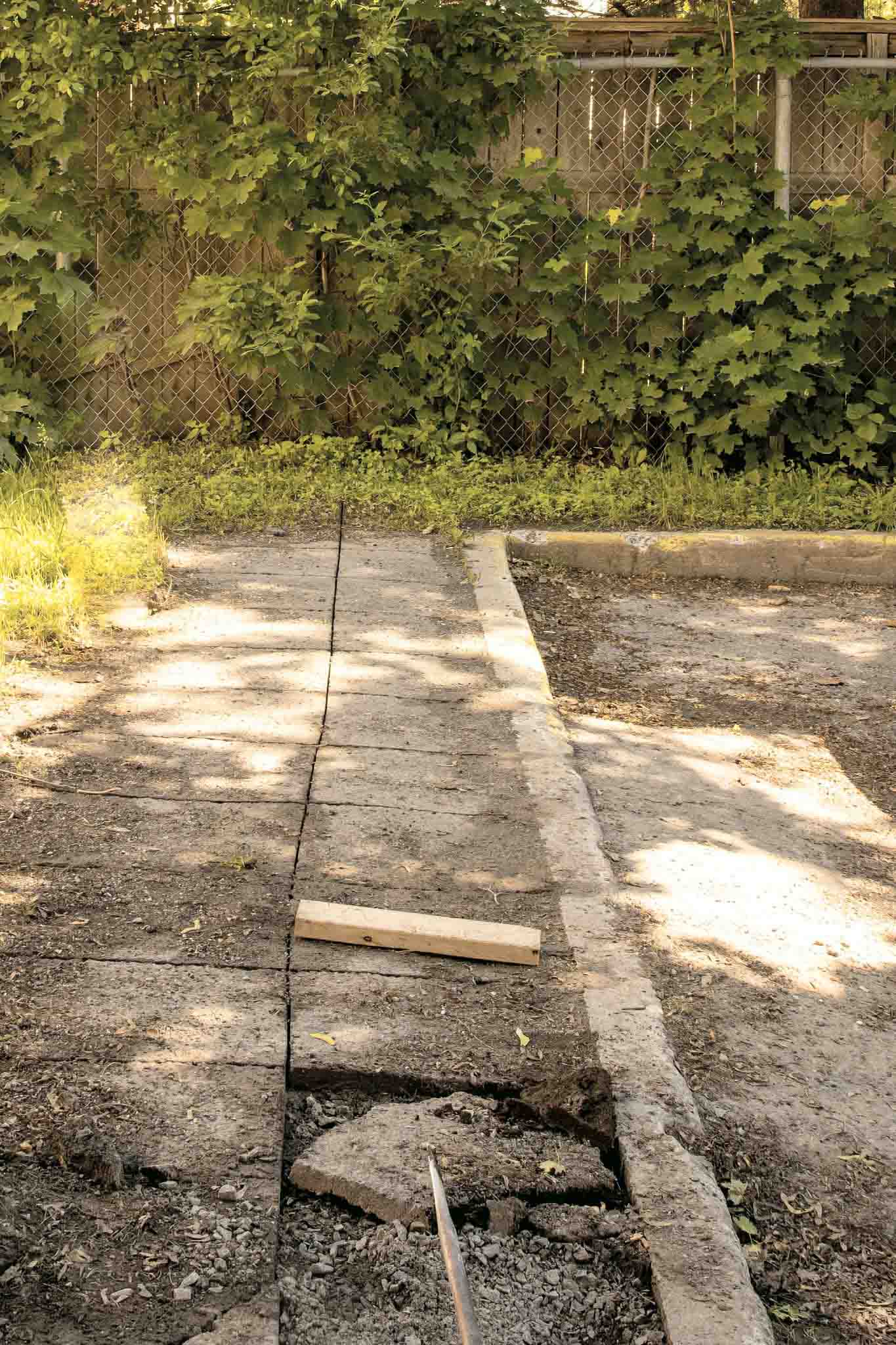 ‘Depaving’ project adds greenspace to Yule Manor - Manor Park Chronicle