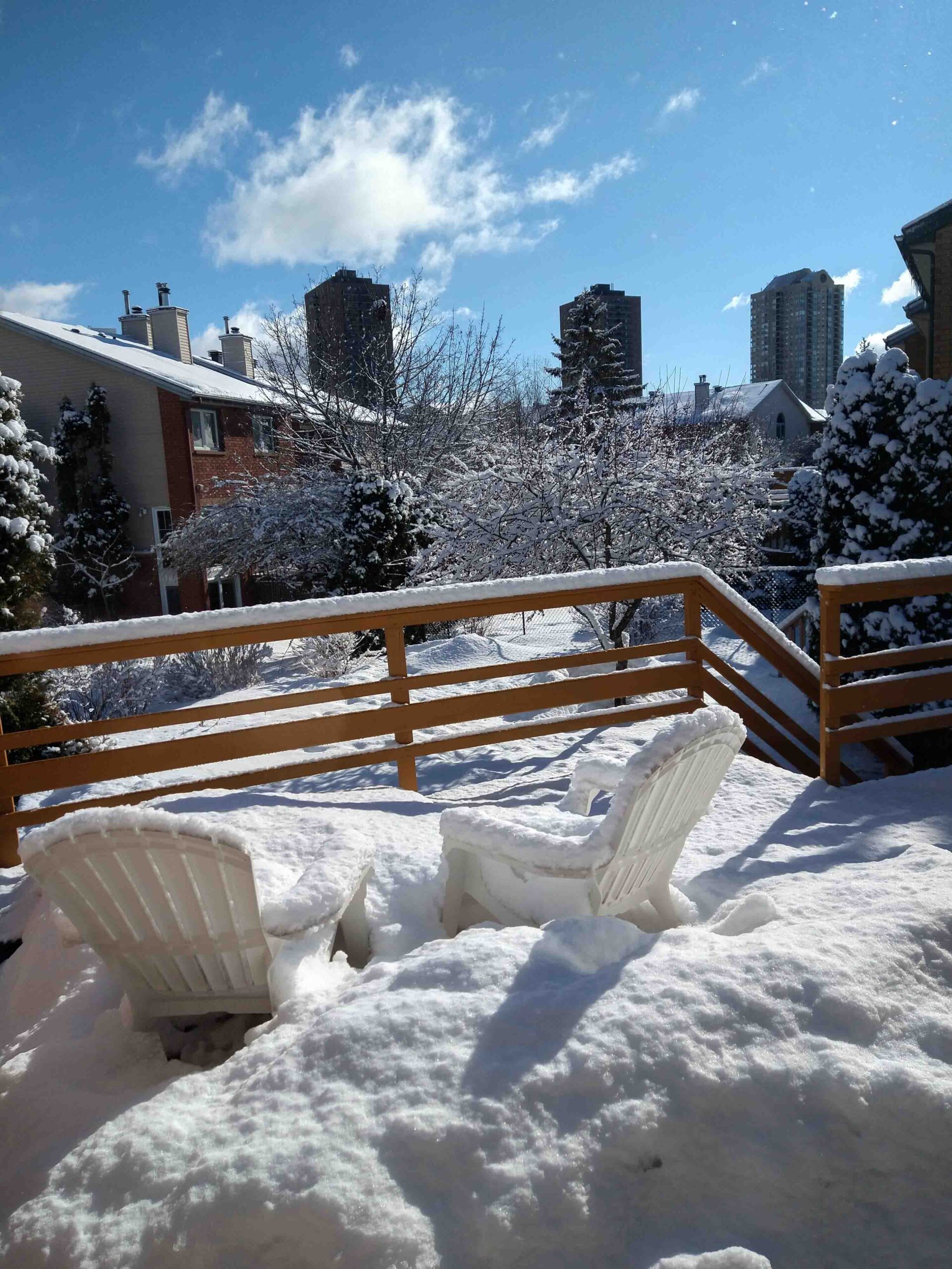 Winter Sowing: Growing native flowers from seed for free - Manor Park ...